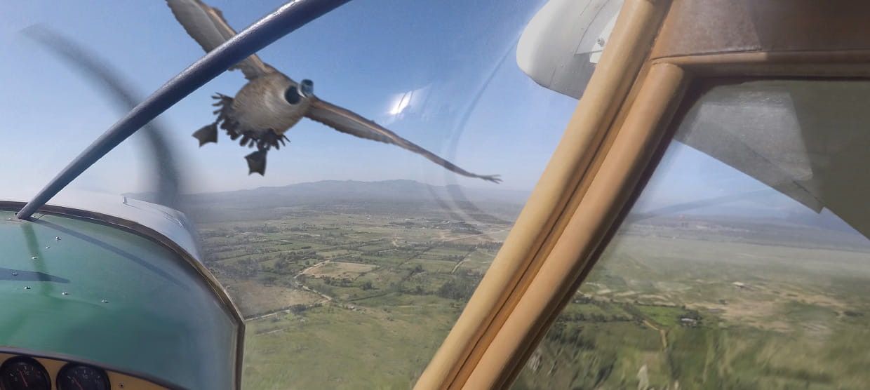 Avemco Aircraft Insurance Company